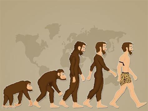 人类起源之谜之生物诞生之谜 第二讲