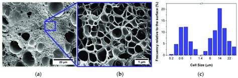 Bimodal Distribution Of The Cell Size Observed For The Blend Of Pmma Download Scientific