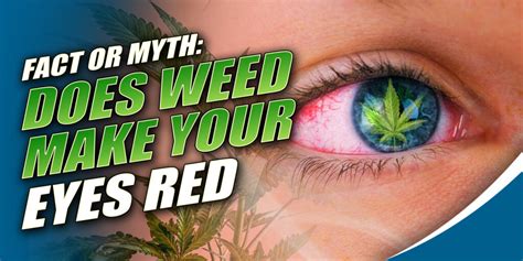 Early Signs Of Hermie Plant You Should Know