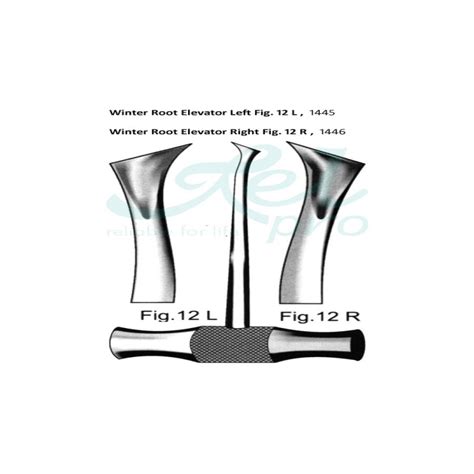 Winter Root Elevator 12l 12r Relpro