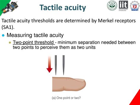 Tactile Perception