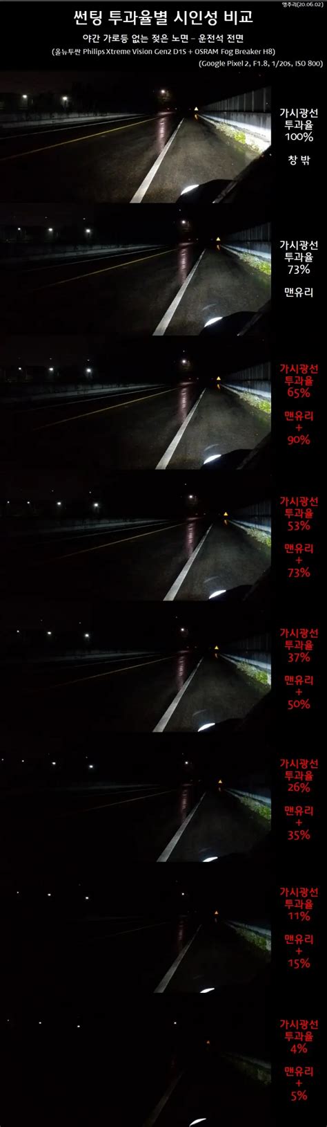 틴팅 농도 차이에 따르는 시인성 DogDrip Net 개드립