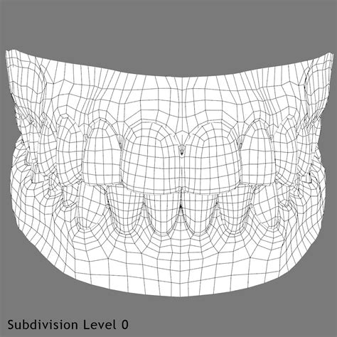 Teeth 3d Model 49 Ma Obj Max 3ds Dae Fbx Free3d