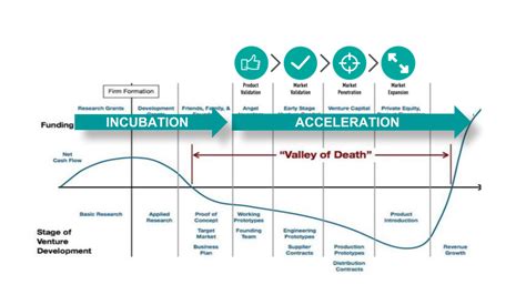 Accelerator Vs Incubator What Suits Your Startup — Xedu