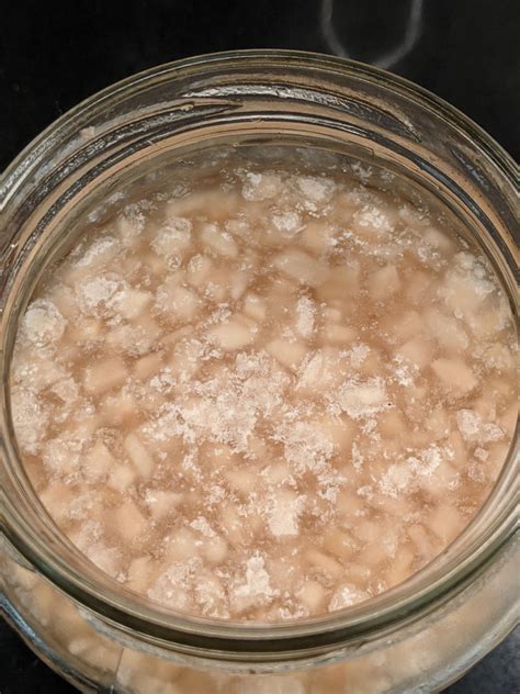 First Ginger Bug Is It Safe Rfermentation