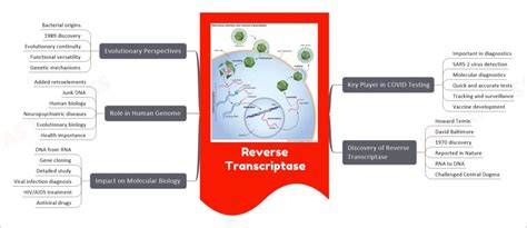 Reverse Transcriptase Upsc