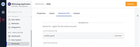 Notebooks Execution Overview WEGnology Documentation