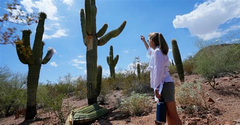 Mujer De Nacionalidad Colombiana Falleció Por Calor En El Desierto De