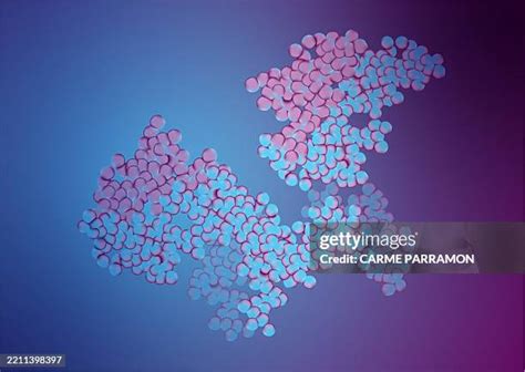 Protein Structure High Res Vector Graphic Getty Images