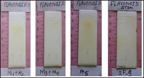 Flavonoids Tlc Profile Of T Chebula T Bellerica And E Ofiicinalis Download Scientific