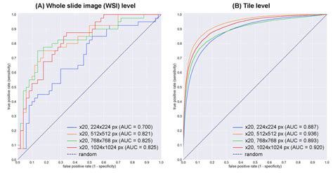 Roc Curves For The Test Set Using Four Trained Deep Learning Models At
