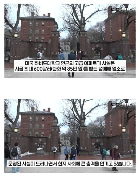 하버드 옆 Vip 성매매 업소 충격적인 고객 리스트 포텐 터짐 최신순 에펨코리아