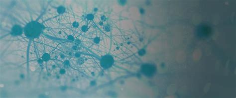 Justin Devine On Linkedin Synexa Life Sciences Expands Biomarker Discovery Capabilities With The…