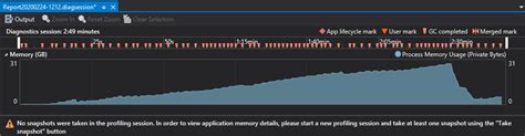 C Does Vss Diagnostic Tools Measure The Total Process Memory Or The Current Process Memory