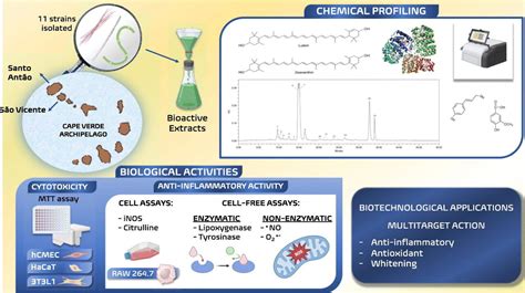 Marine Cyanobacteria In The Origin Of Anti Inflammatory Molecules With Dermatological Cosmetic