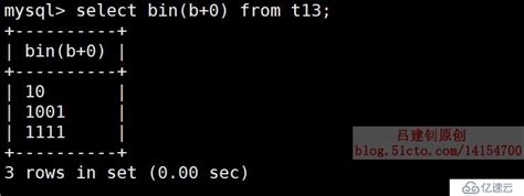 Sql数据类型详解 Mysql数据库 亿速云