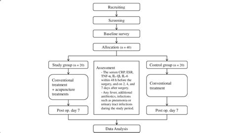 Study Protocol Flow Chart Download Scientific Diagram