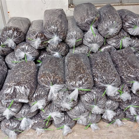 خرید و قیمت خاک فوق اقتصادی اختصاصی گل و گیاه و مزارع و حلزون از غرفه