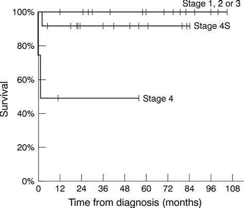 Neonatal Neuroblastoma Adc Fetal And Neonatal Edition