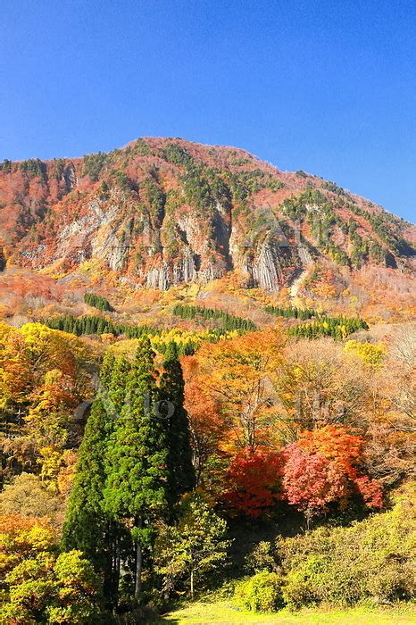 紅葉の秋山郷の布岩山の柱状節理 長野県 栄村 193779876 の写真素材 アフロ