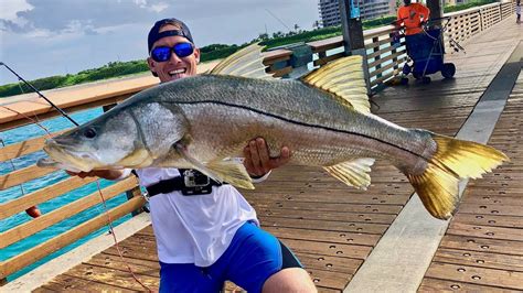 Florida Pier Produces Huge Fish Juno Pier Snook Fishing Youtube