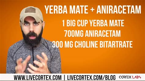 Strong Stim Stack Yerba Mate Aniracetam Cortex Labs Nootropics And Biohacking Consulting
