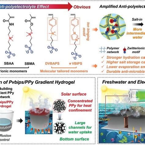 Heat Management Of Pvbips Ppy Hydrogel With Gradient Ppy Network A Download Scientific