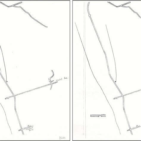 Sample Of A Vector Mapping Trial A Vector Representing The Estimated