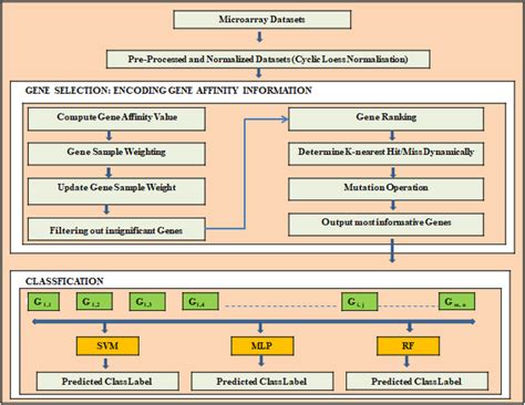 Workflow Of The Proposed Method Download Scientific Diagram