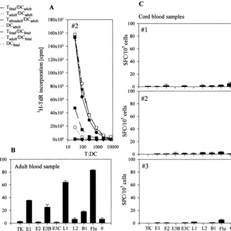 Adult Ebv Specific Cd4⁺ T Cells Are Primed In Vivo Cd4⁺ T Cells From