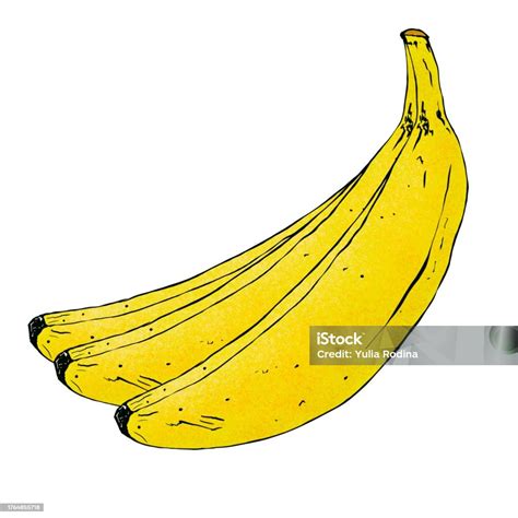 Seikat Pisang Kuning Buahbuahan Tropis Olahraga Dan Camilan Nutrisi