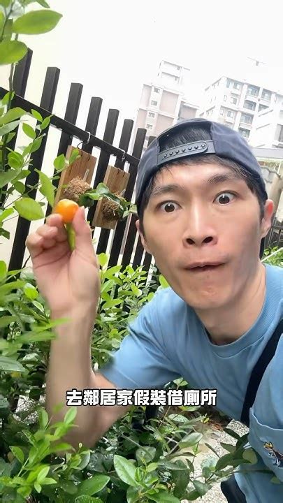 偷拔鄰居家的金桔🍊 Youtube