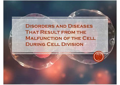 Aberrations In Mitosis Bsed Science Disorders And Diseases That Result From The Malfunction