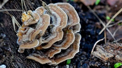 Current Research Biorem Uab