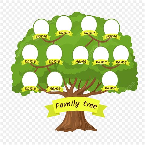 Dibujado A Mano Verde De Dibujos Animados Arbol Genealogico Arbol Images
