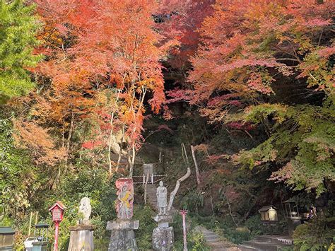 御橋観音寺おはしかんのんじは長崎県佐世保市のお寺です のうこつぼ