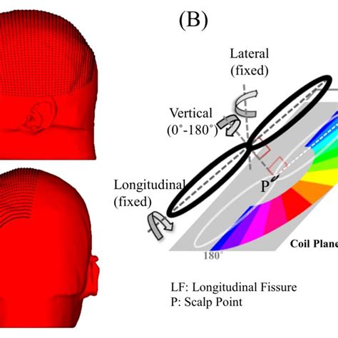 Definition Of Coil Orientation Angles For Stimulation Of The Right