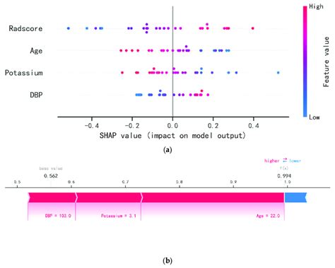 Summary Plots For SHAP Values Each Point Represents A Patient In Each
