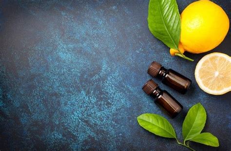 Inilah 7 Essential Oil Yang Aman Untuk Bayi Dan Anak