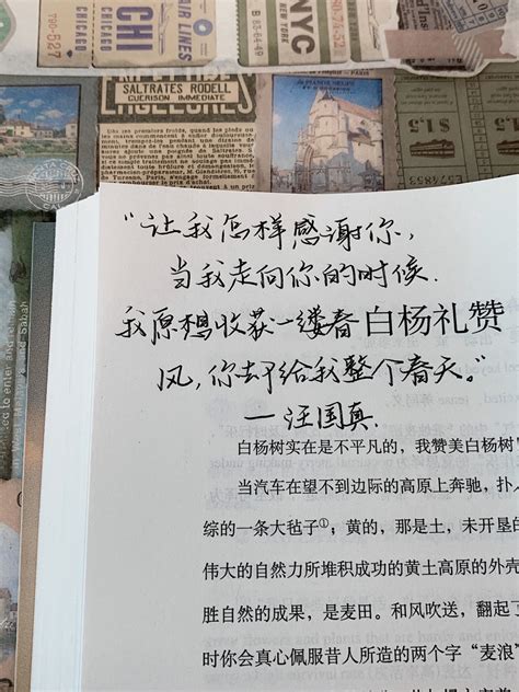 语录分享 春天文案 日常摘抄 小熊 堆糖美图壁纸兴趣社区