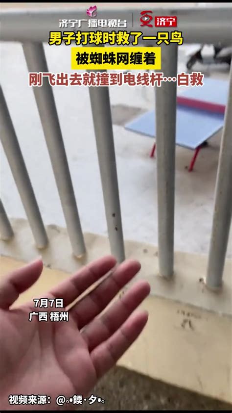 命途多舛！唉，命数已尽，天命难违！ 24vs直播
