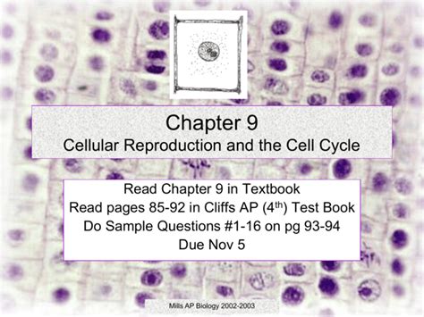 Cellular Reproduction Cell Cycle AP Biology Presentation