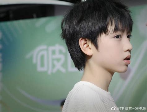 Zhang Guiyuan Tr Ng Qu Nguy N D Th Ng
