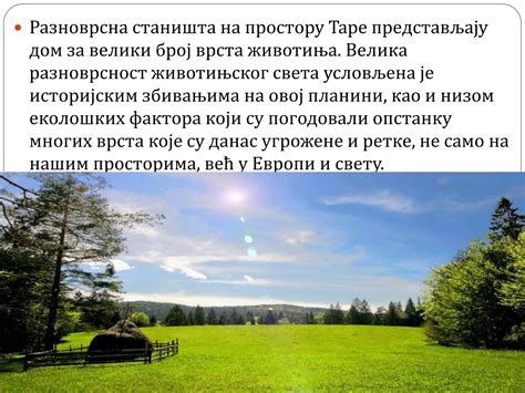 Nacionalni Park Tara Pptx