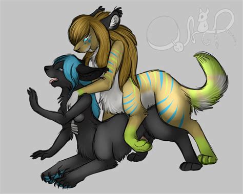 Rule 34 Breasts Chakat Chakat Seedfrost Chakat Shadowsong Herm