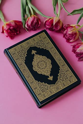 꽃과 분홍색 배경에 거룩한 꾸란 튤립 라마단 코란의 하움 꾸란을 읽는다 라마단 컨셉 이슬람 개념 0명에 대한 스톡 사진 및 기타