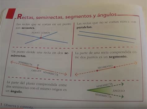 Cómo Comprender Los GrÁficos De Puntos En Los Datos