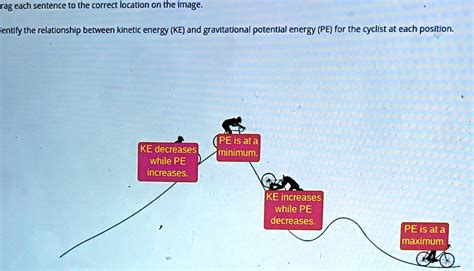 Solved Drag Each Sentence To The Correct Location On The Image
