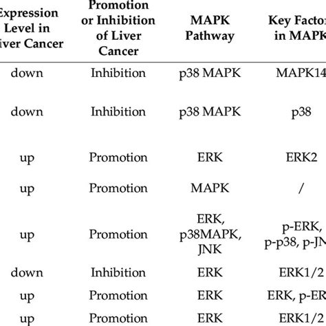 Lncrnas Related To Multiple Mapk Signaling Pathways In Liver Cancer