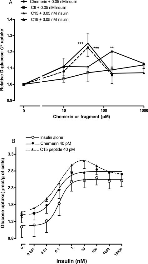 Evidence From Studies In Rodents And In Isolated Adipocytes That